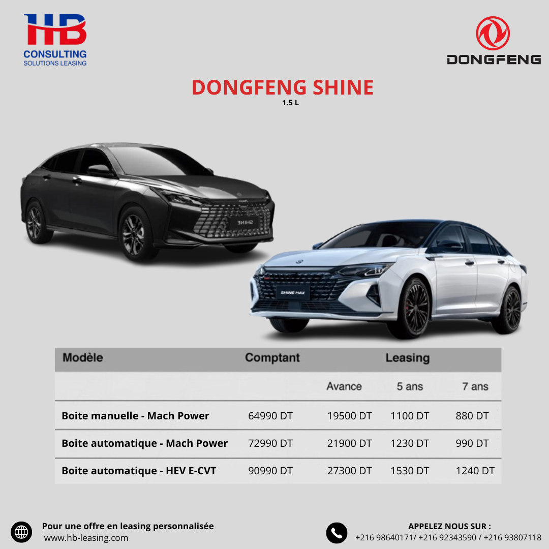 DONGFENG SHINE - HB Consulting